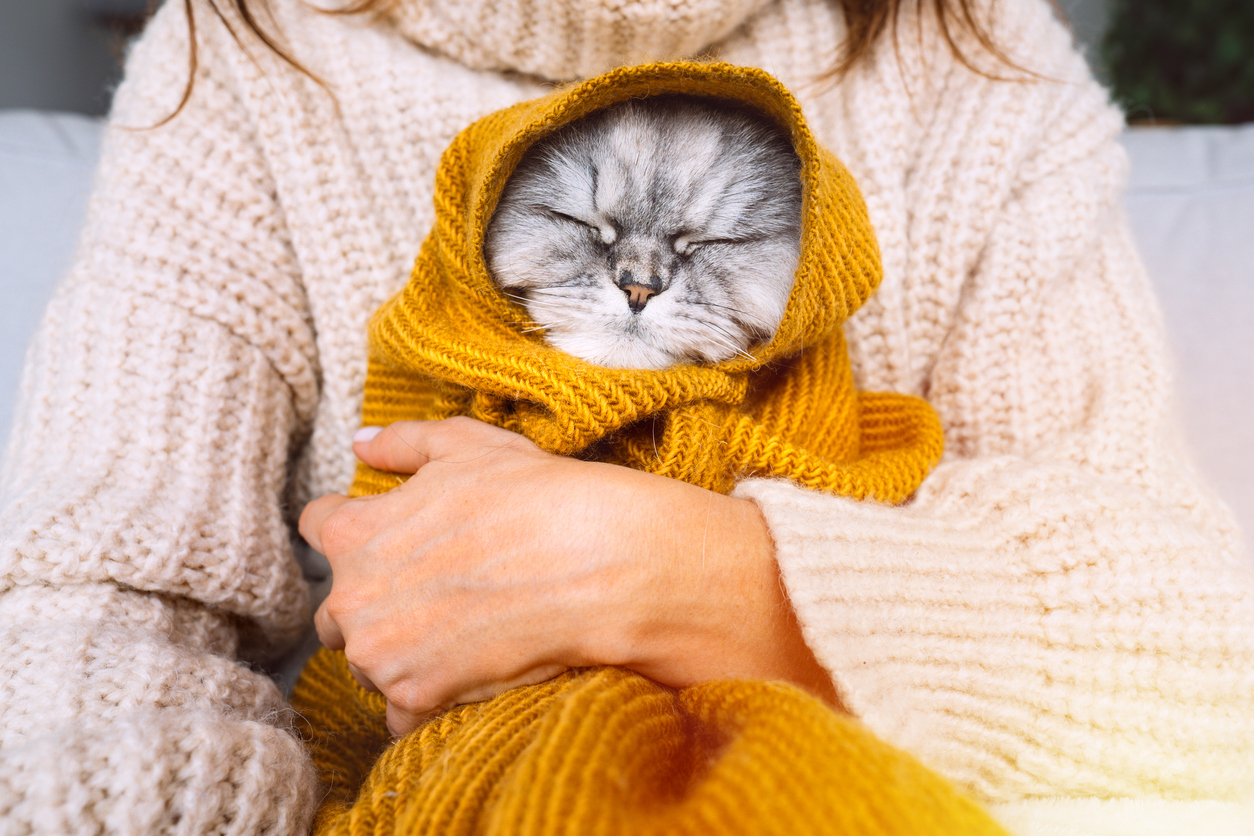 Managing cold symptoms when you have multiple sclerosis - MS-UK